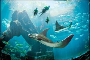 Snorkel the Ruins – Atlantis The Legend